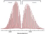 The Iodine Absorption Spectrum - Part 1